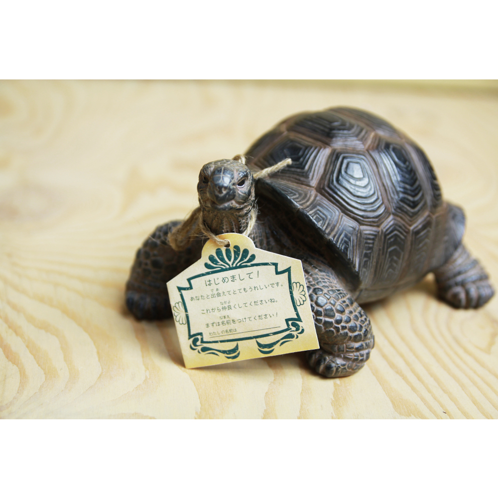 PLUM DIFFUSER | magnet Inc.