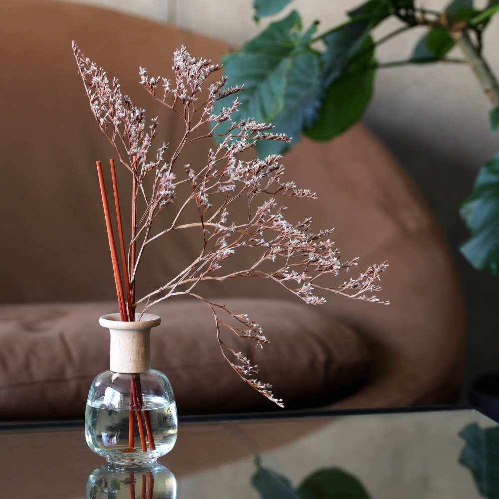 PLUM DIFFUSER MINI（200ml） | magnet Inc.